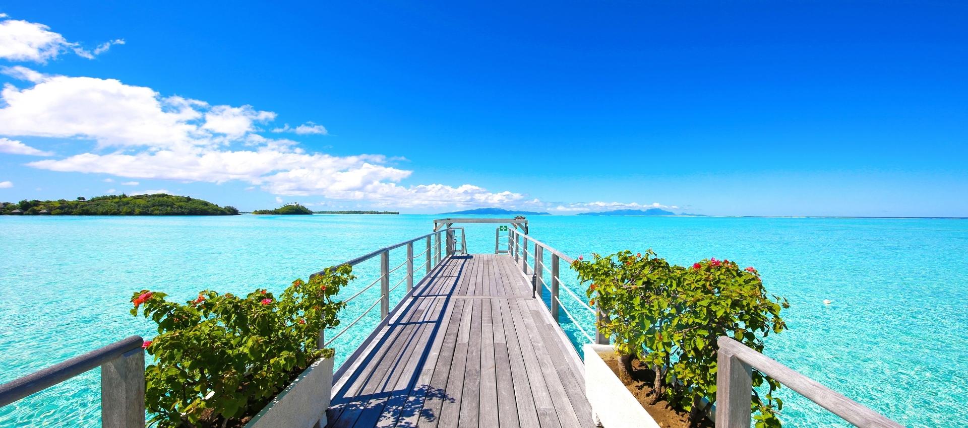 An Ultimate Secret Flight Club Review | Are they really cheap ...